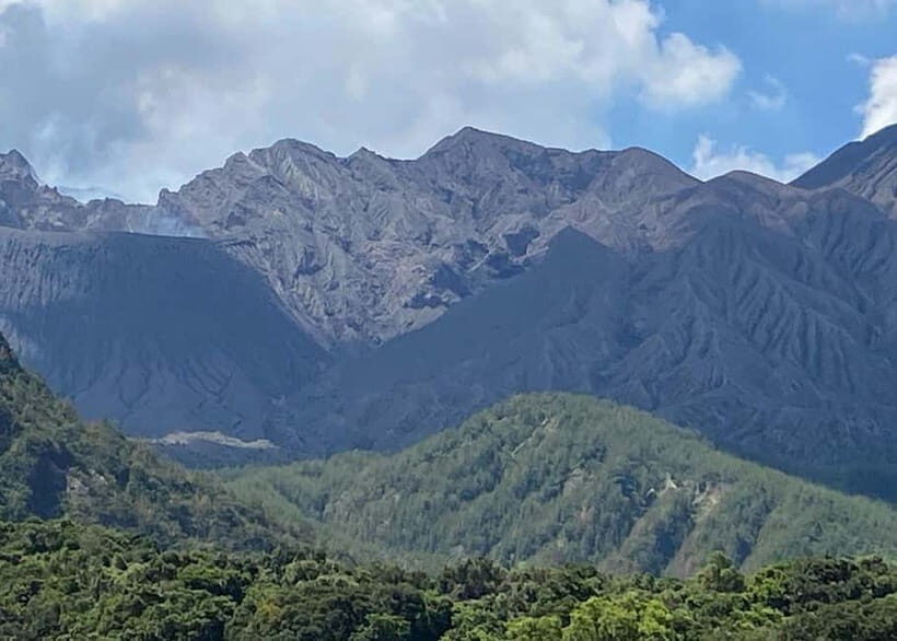 Kagoshima: Volcano, Coast & Hot Springs Guided Tour - Lunch: Fresh Flavors by the Sea