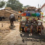 Kalakho abhaneri Organic Retreat from Jaipur - The Itinerary in Detail: What to Expect