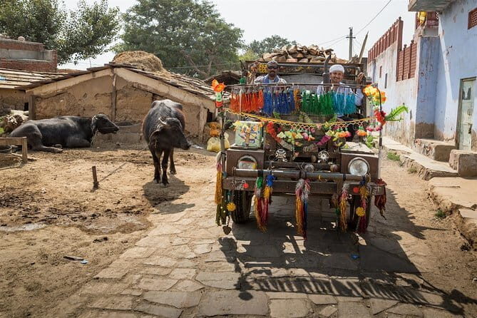 Kalakho abhaneri Organic Retreat from Jaipur - The Itinerary in Detail: What to Expect