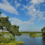 Kalametiya Bird Sanctuary Catamaran Bird Watching Tour - The Itinerary in Detail