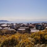 Kamakura Half Day Walking Tour with Local Experience - Assessing the Actual Value