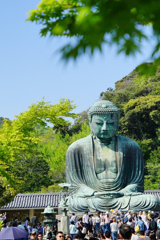 Kamakura Half Day Walking Tour with Local Experience - Authentic Experiences and Hidden Gems