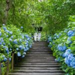 Kamakura Private Charter Car Private tour - Final Thoughts: Is It Worth It?