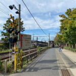 Kamakura Private Cultural and Historical Hiking Tour - Strolling to Kuzuharaoka Shrine