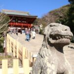 Kamakura Private walking tour (with local experience in option) - What’s Included and What’s Not