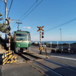 Kamakura: Temples, Shrines & Buddha Walking Tour - Who Should Consider This Tour?