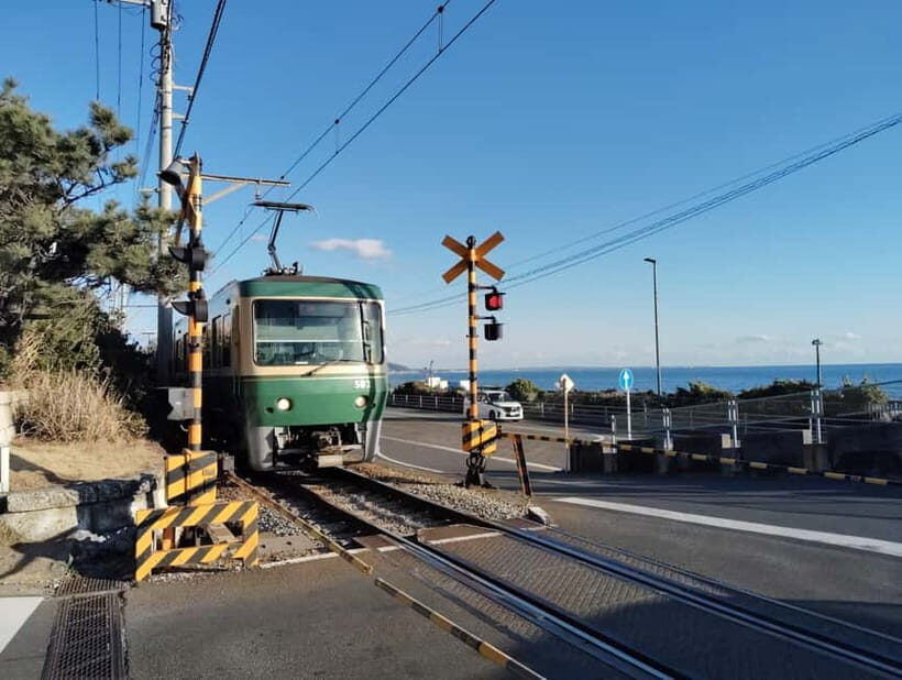 Kamakura: Temples, Shrines & Buddha Walking Tour - Who Should Consider This Tour?