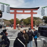 Kamakura: Tsurugaoka Hachimangu & Komachi Street Tour - What To Expect: Details and Practicalities