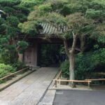 Kamakura Walking Tour with Local Guide Including Hokokuji Temple - Key Points