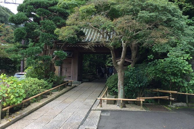 Kamakura Walking Tour with Local Guide Including Hokokuji Temple - Key Points