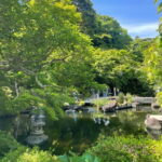 Kamakura:Largest Wooden Buddha, Temples, Cultural Experience - Practicalities and Tips