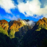 Kamikochi & Matsumoto Castle: Nature & Heritage Day Tour - In-Depth Review of the Experience