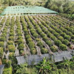 Kampot Day Trip to Pepper Farm, Temple and Salt Field , etc - Valuing the Cost and Overall Experience