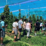 Kampot Pepper Farm, Salt Fields, Cave from Sihanoukville - The Full Itinerary Breakdown