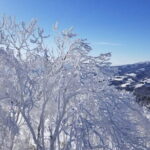 KAMUI SKI LINKS Snow CAT Tour - Final Thoughts: Is It Worth It?