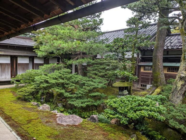 Kanazawa: Daimyo Villa and Kenrokuen Garden Geisha Tour - Who Will This Tour Suit?