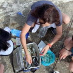 Kanazawa: Fishing Experience with Gyotaku and Cooking - An In-Depth Look at the Kanazawa Fishing, Gyotaku, and Cooking Tour