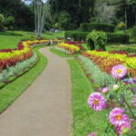 Kandy and Pinnawala: Private Day Trip from Colombo Harbor - Real Traveler Insights