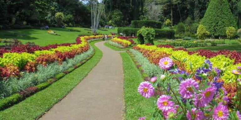 Kandy and Pinnawala: Private Day Trip from Colombo Harbor - Real Traveler Insights