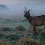 Kandy City Day Tour - An In-Depth Look at the Itinerary