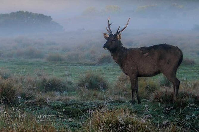 Kandy City Day Tour - An In-Depth Look at the Itinerary