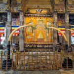 Kandy City Tour - What Does the Tour Offer in Value?