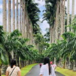 Kandy City Tour Experience from Kandy - Who Should Consider This Tour?