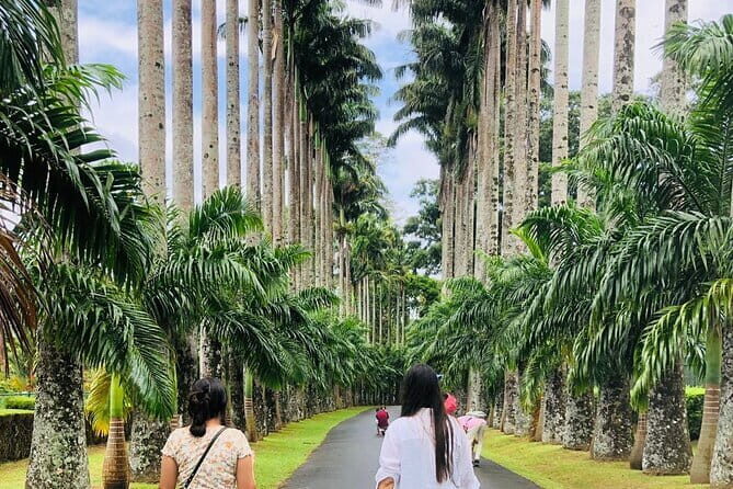 Kandy City Tour Experience from Kandy - Who Should Consider This Tour?