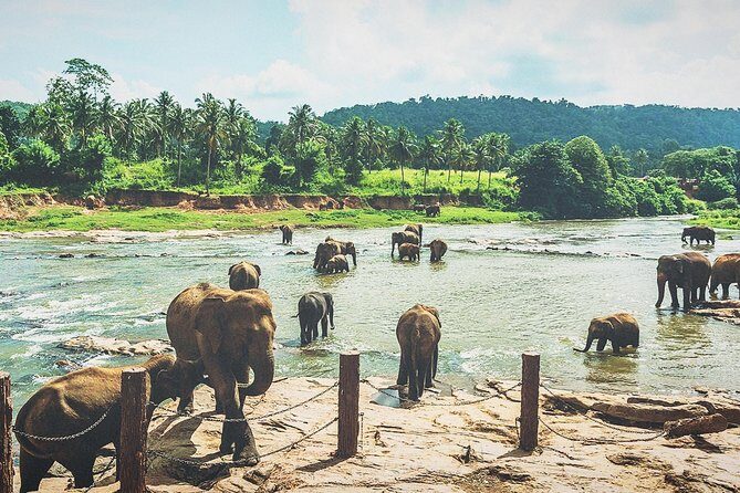 Kandy city tour for couple price - An In-Depth Look at the Kandy City Tour