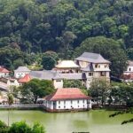 Kandy City Tour from Bentota - Authentic Experiences and Traveler Insights