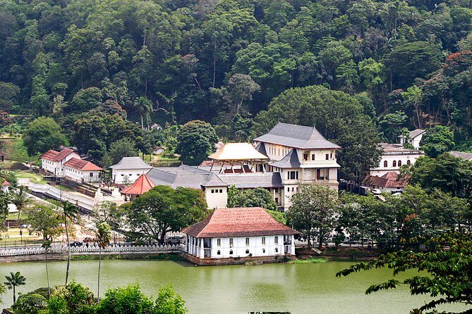 Kandy City Tour from Bentota - Authentic Experiences and Traveler Insights