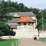 Kandy City Tour from Hikkaduwa - Who Would Love This Tour?