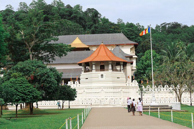 Kandy City Tour from Hikkaduwa - Who Would Love This Tour?