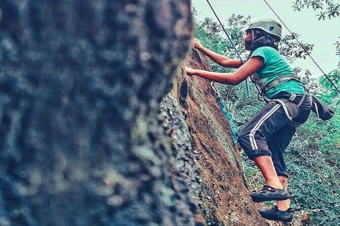 Kandy City Tour from Kitulgala - Key Points