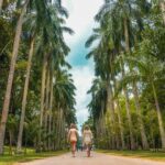 Kandy City Walk with a Local - Final Thoughts: Is It Worth It?