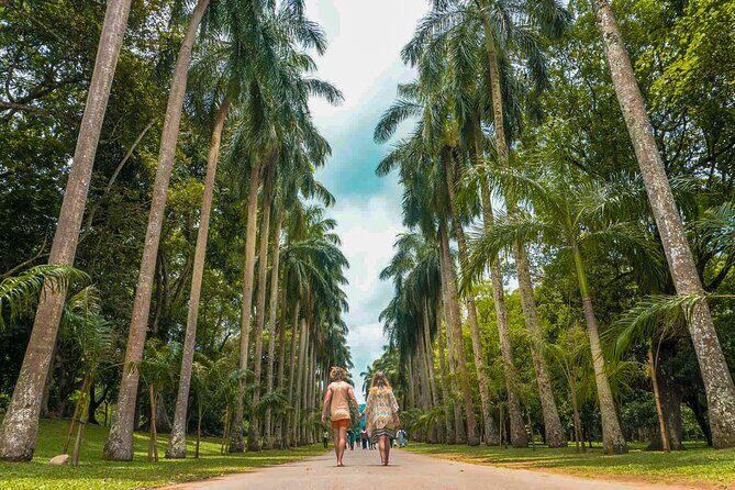 Kandy City Walk with a Local - Final Thoughts: Is It Worth It?