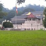 Kandy Day Tour From Colombo - Real Travelers’ Insights
