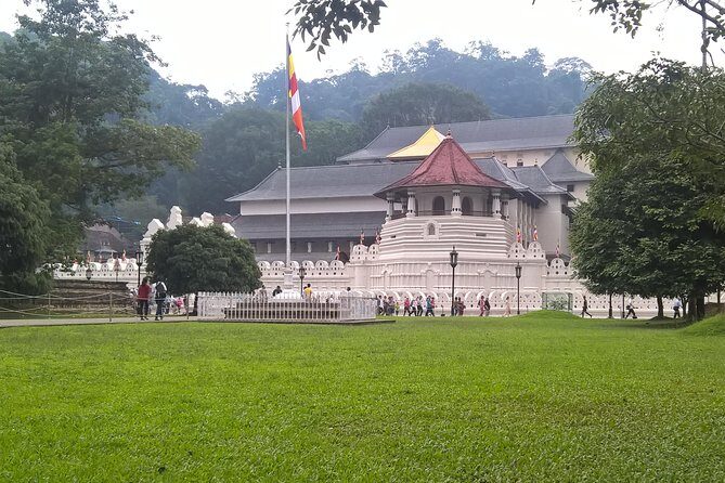 Kandy Day Tour From Colombo - Real Travelers’ Insights