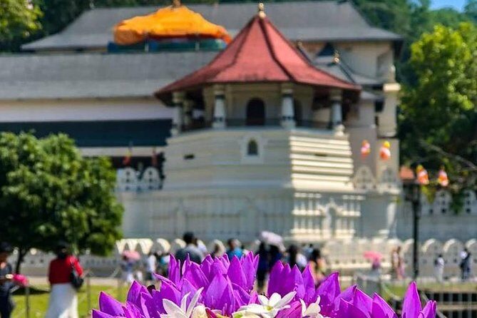 Kandy Day Tour From Colombo with Pinnawala - Practical Tips