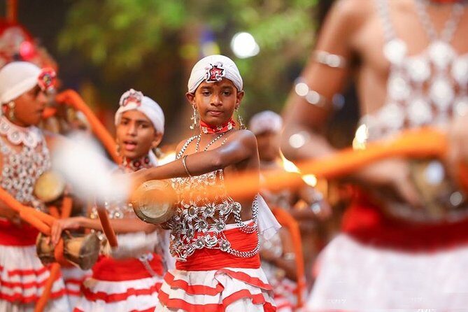 Kandy Esala Perahera - Day 07 (2025-Aug-5) - Who Will Enjoy This Tour?