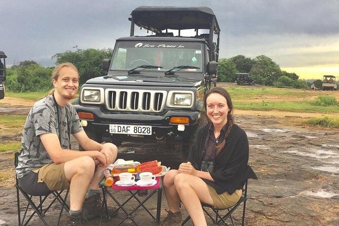 Kandy - Minneriya National park & Sigiriya Rock Fortress - Driver and Transport - What Makes This Tour Stand Out