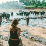 Kandy & Nuwara Eliya | 2 Days Tour - Day 1: A Deep Dive into Kandy