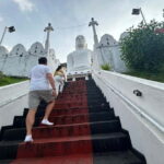 Kandy & Pinnawala Day Tour From Colombo or Negombo - What’s the Real Value for Travelers?