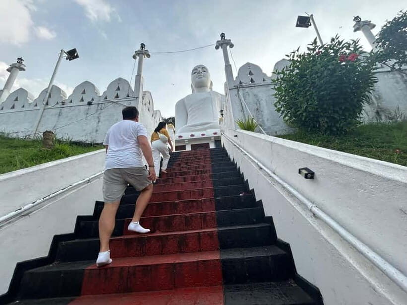 Kandy & Pinnawala Day Tour From Colombo or Negombo - What’s the Real Value for Travelers?