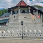 Kandy & Pinnawala Elephant Orphanage Day Trip from Negombo - Transportation & Practicalities