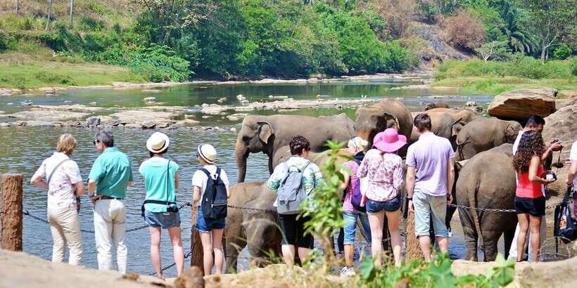 Kandy Pinnawala full day tour from Bentota and Kalutara - What Travelers Say & How It Adds to the Experience