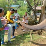 Kandy & Pinnawala & Tea Factory Full Day Tour From Negombo - Practical Considerations