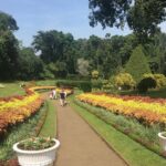 Kandy Private Day Tour - In The Sum Up: Who Will Love This Tour?