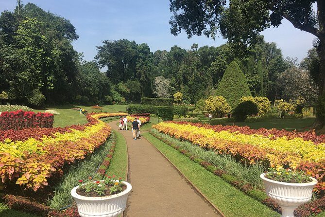 Kandy Private Day Tour - In The Sum Up: Who Will Love This Tour?