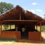 Kandy - Sigiriya Full-Day Private Tour - Sigiriya Rock Fortress: The Main Attraction